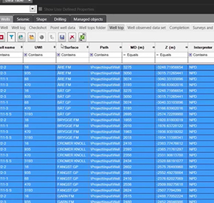Collaboration—Petrophysicist to Geomodeller