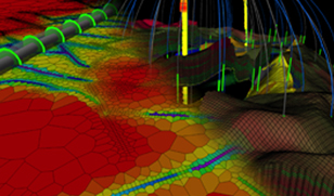 Reservoir Engineering Software