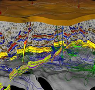 Petrel data analysis