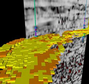 Petrel data analysis